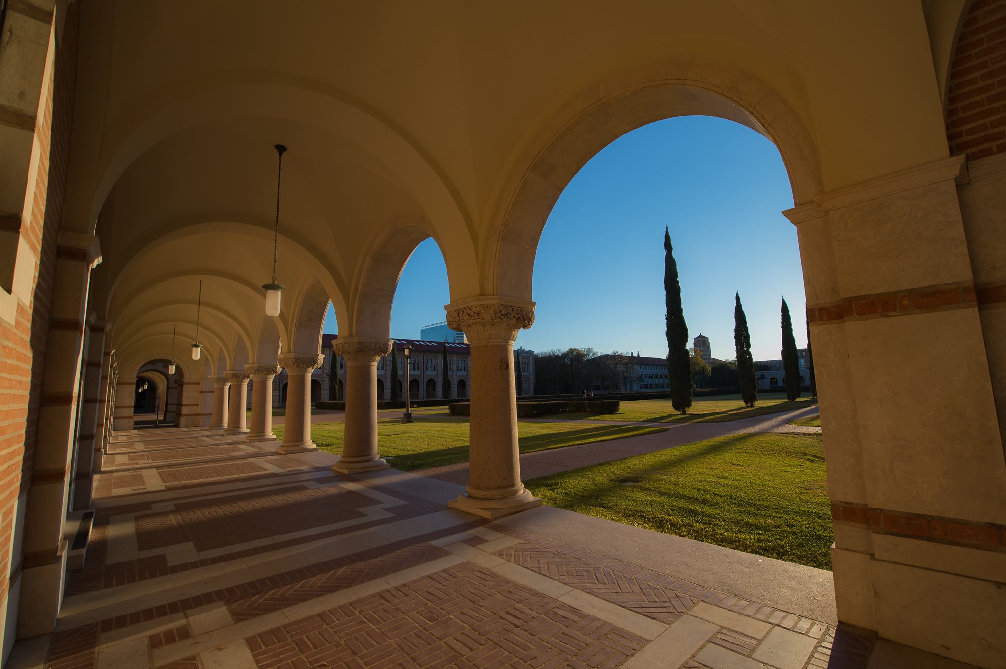 Estudiar en la Rice University 📚| Guía Fácil 2022